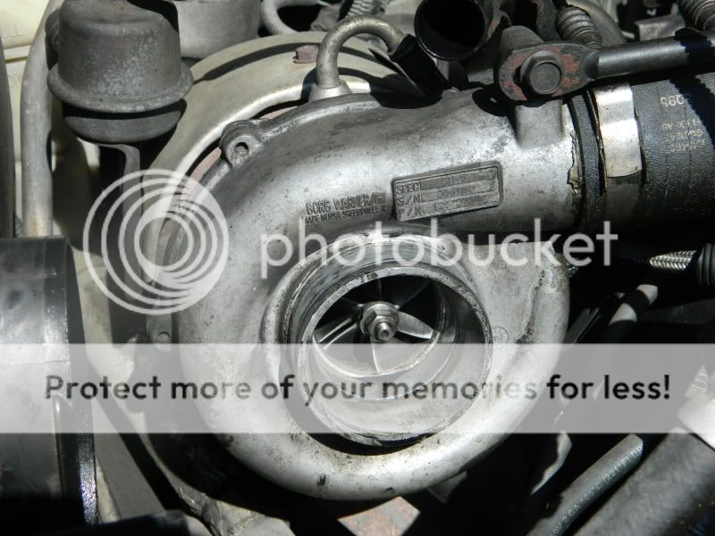 Oil in the Spinny Thingy?? | Chevy and GMC Duramax Diesel Forum