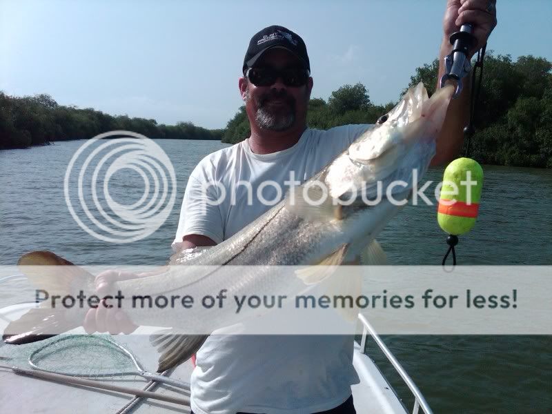 Guantanamo Bay Cuba, Guantanamo River Snook | Bloodydecks