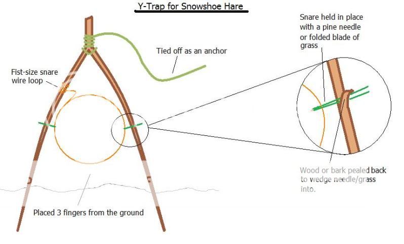 Rabbit snares | BladeForums.com