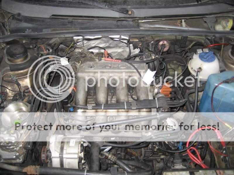 16v swap montronic 84 GLI | VW Vortex - Volkswagen Forum