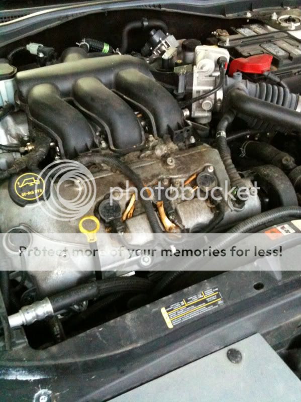 How to get rid of Rodents in Engine | GM Inside News Forum