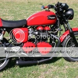 Black custom painted tank badge | Triumph Rat Motorcycle Forums