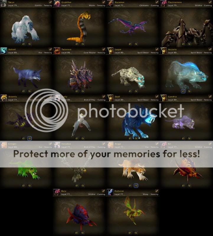 My pets so far :D (with image) - WoW Petopia Community